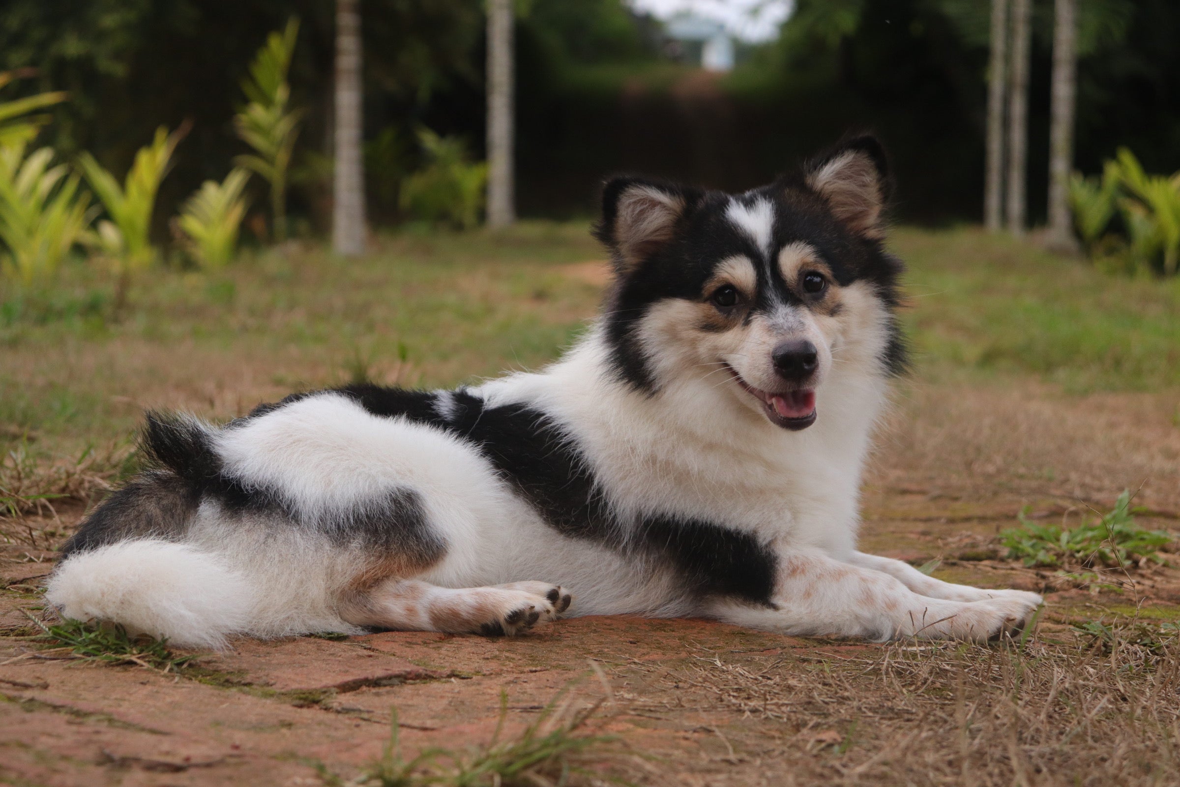 PET – Legends store